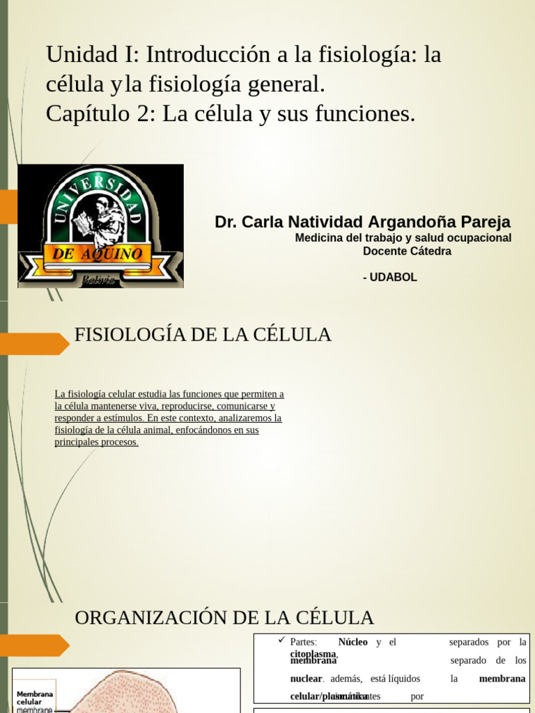 Añadido Diferencia Celula Animal y Precelulares | PDF | Citoplasma ...