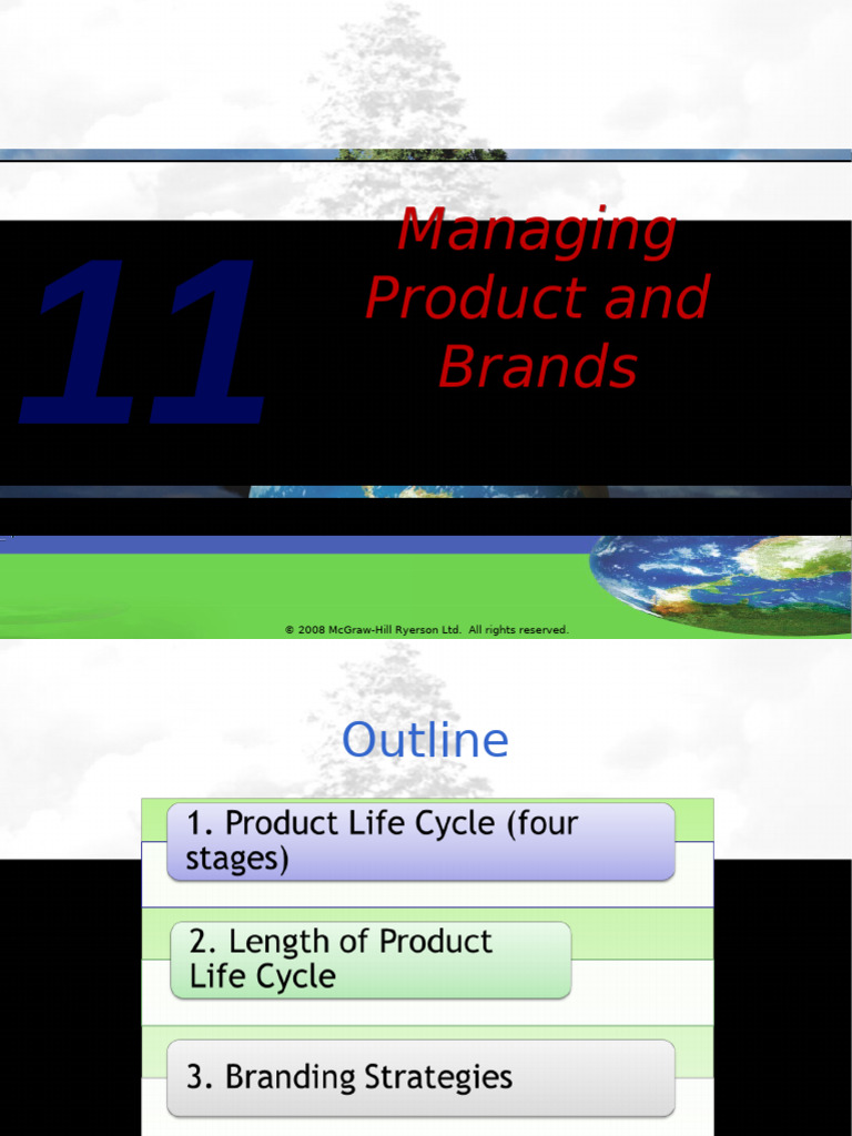 Product Life Cycle and Branding Strategies | PDF | Brand | Marketing