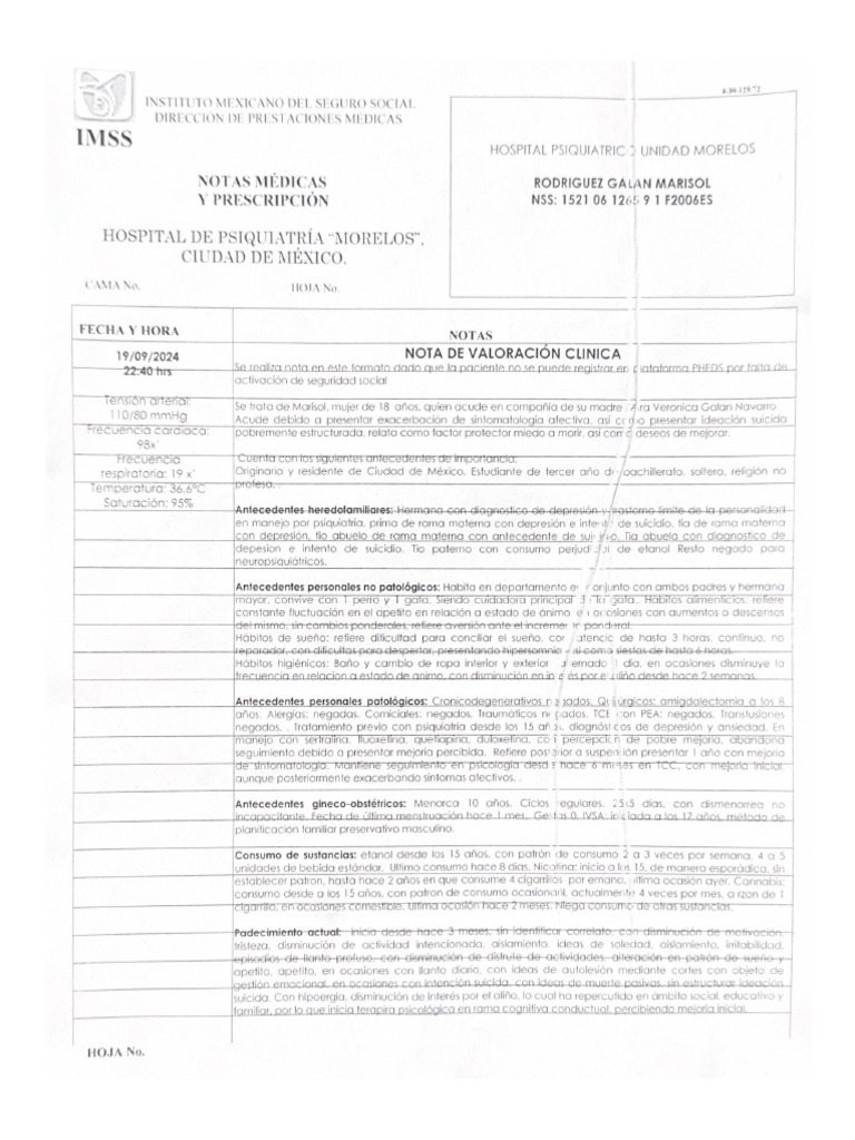 IMSS | PDF