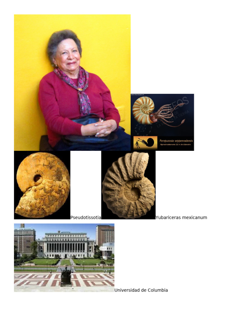 Exposicion Cientifica Mexicana | PDF