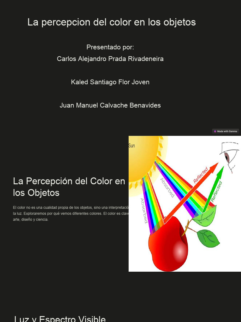 La Percepcion Del Color en Los Objetos | PDF | Color | Rojo