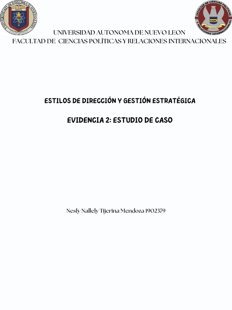 Tijerina Nesly Evidencia2 PDF | PDF | Gestión estratégica | Innovación