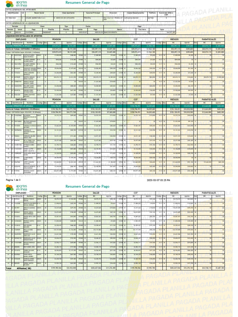 Planilla AMF 03-2025 | PDF | Servicios financieros | Finanzas personales