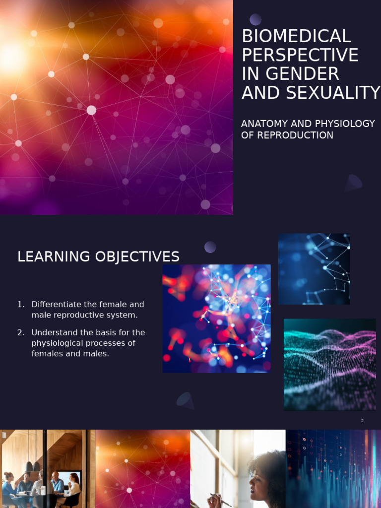 Anatomy of Gender and Sexuality in Reproduction | PDF | Menstrual Cycle ...