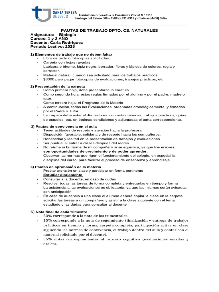 Pauta de Trabajo 2025 ST | PDF | Enseñando | Maestros