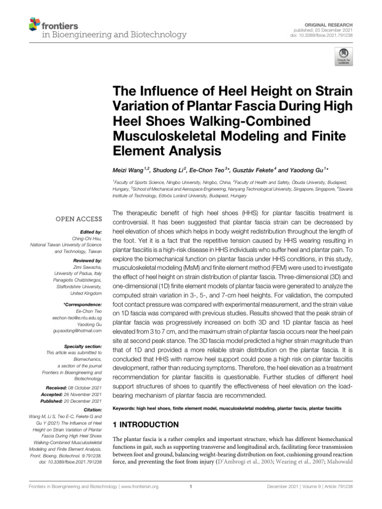 The Influence of Heel Height On Strain Variation of Plantar Fascia ...