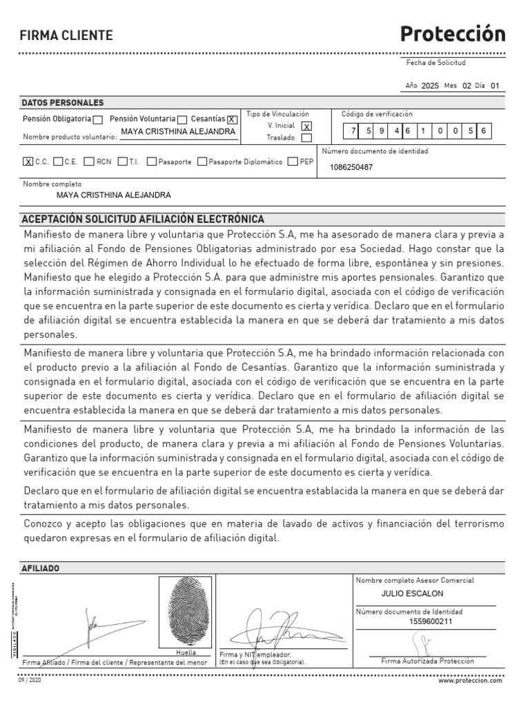 Formulario Pension Proteccion | PDF | Pensión