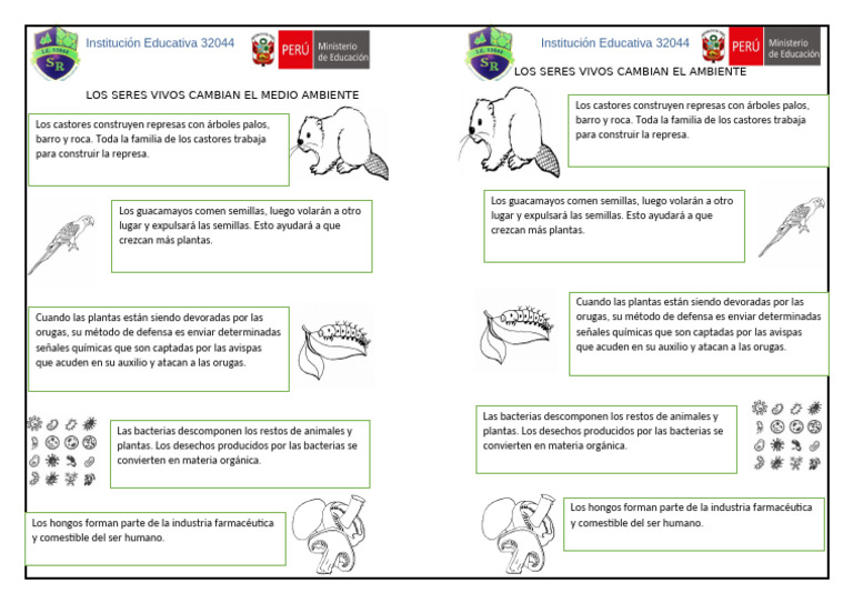 Los Seres Vivos Cambian El Medio Ambiente | PDF