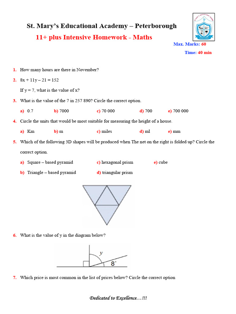 11+ Maths Intensive Homework | PDF | Litre | Area