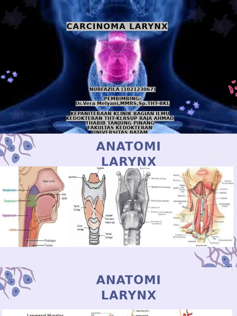 CA Larynx | PDF