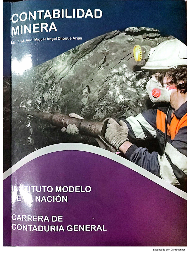 Parte 2 Libro Minera | PDF