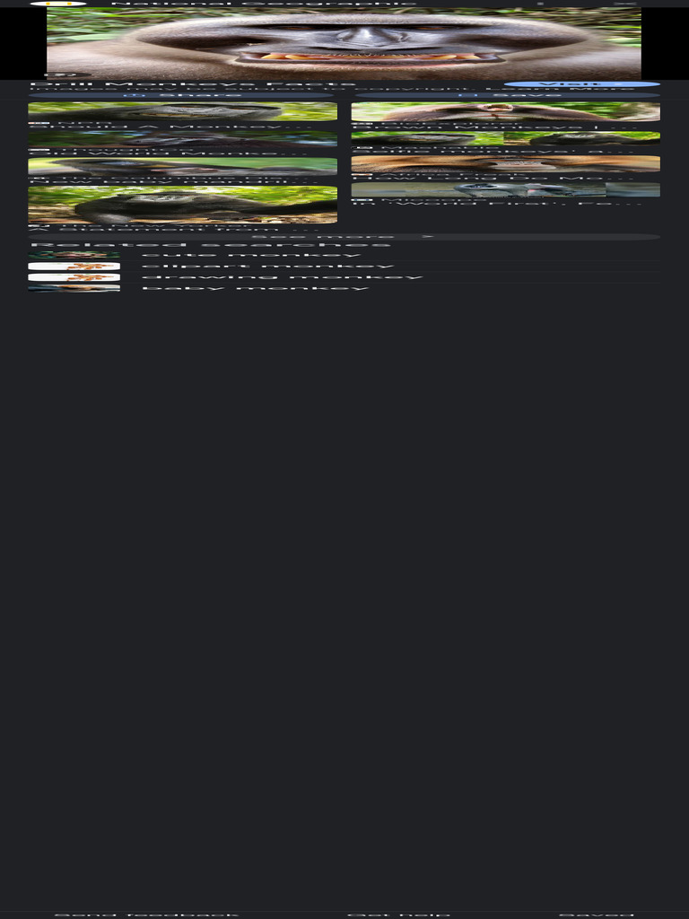 Monkey - Google Search | PDF