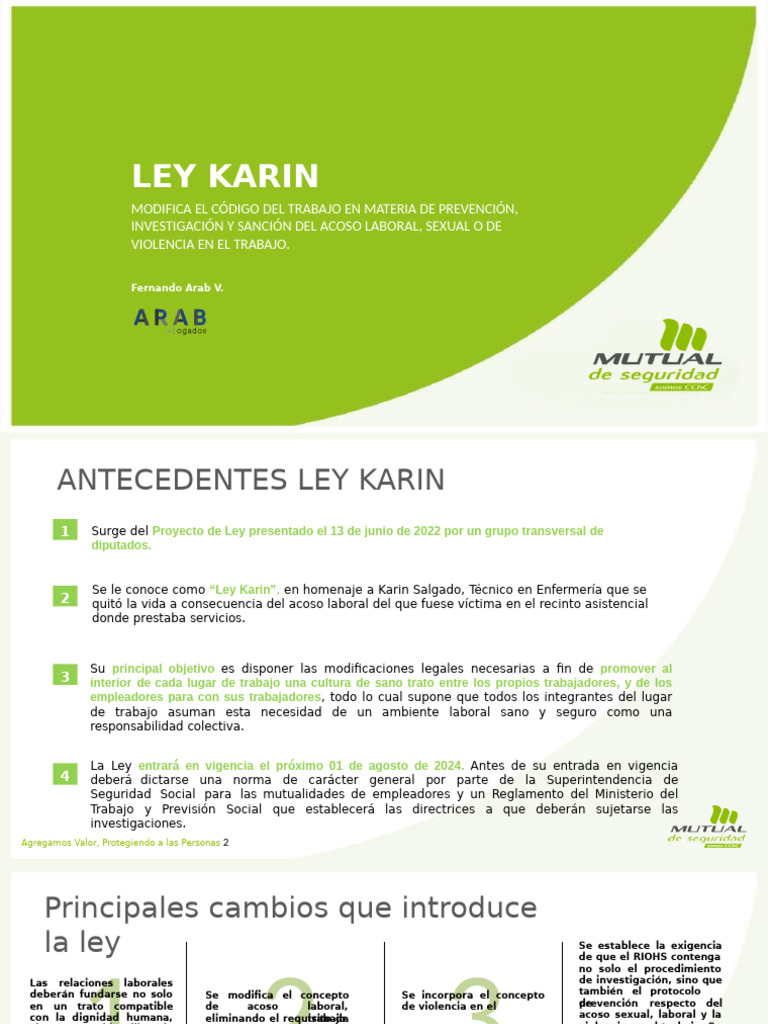 Ley Karin: Prevención del Acoso Laboral | PDF | Derecho laboral | Acoso ...