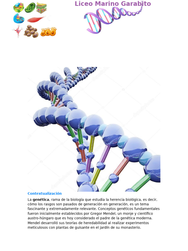 Proyecto de Genética: Árbol Genealógico | PDF | Genética | Herencia