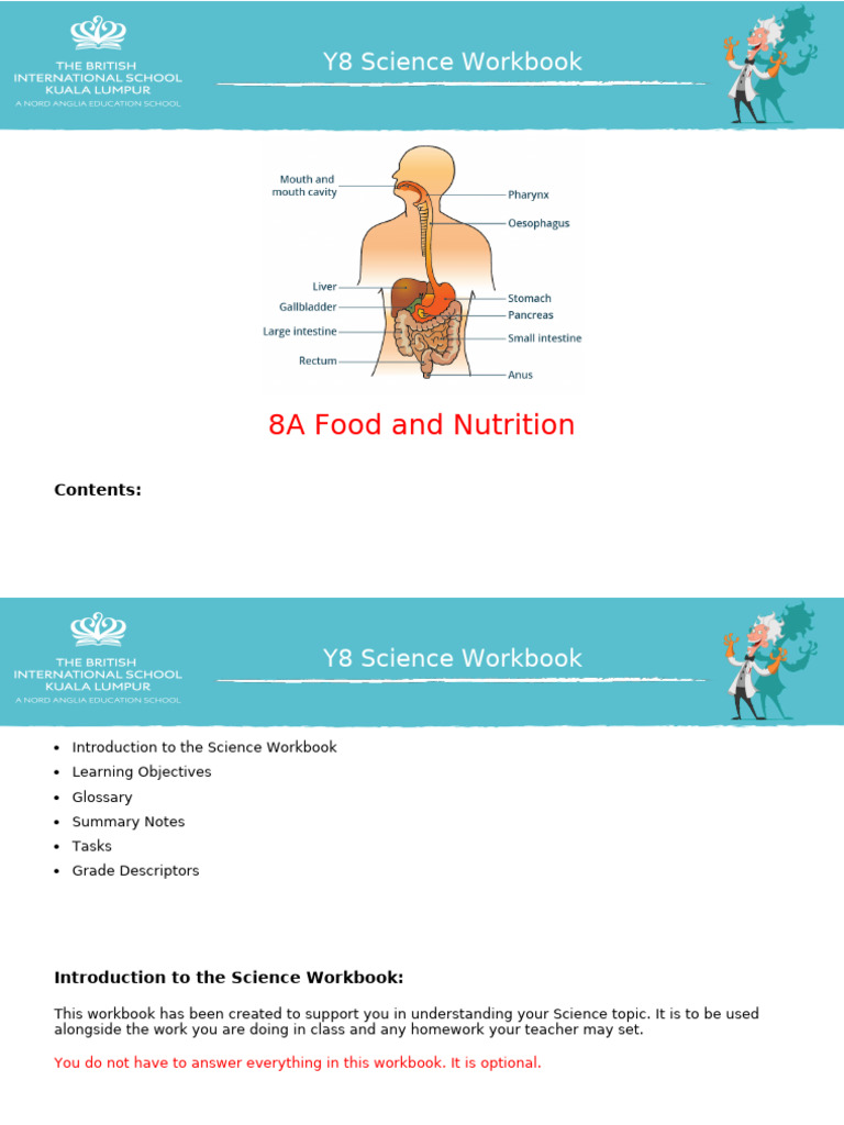 Y8A Food and Nutrition Workbook Exploring Science | PDF | Digestion | Foods