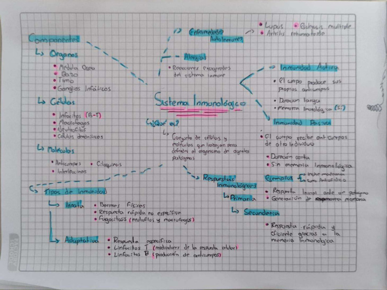 Mapa Mental Sistema Inmunológico Adrian Mauricio Guerrero Santiago | PDF