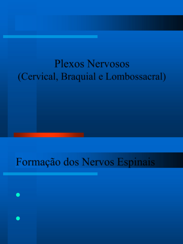 05 - Plexos Nervosos - Plexo Braquial - 22 - 03 - 2022 | PDF | Nervo ...