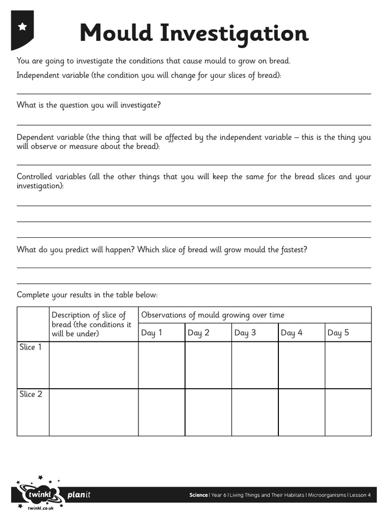 Mould Growth Investigation on Bread | PDF