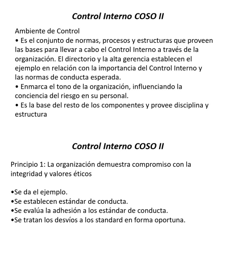 5 Control Interno COSO II | PDF