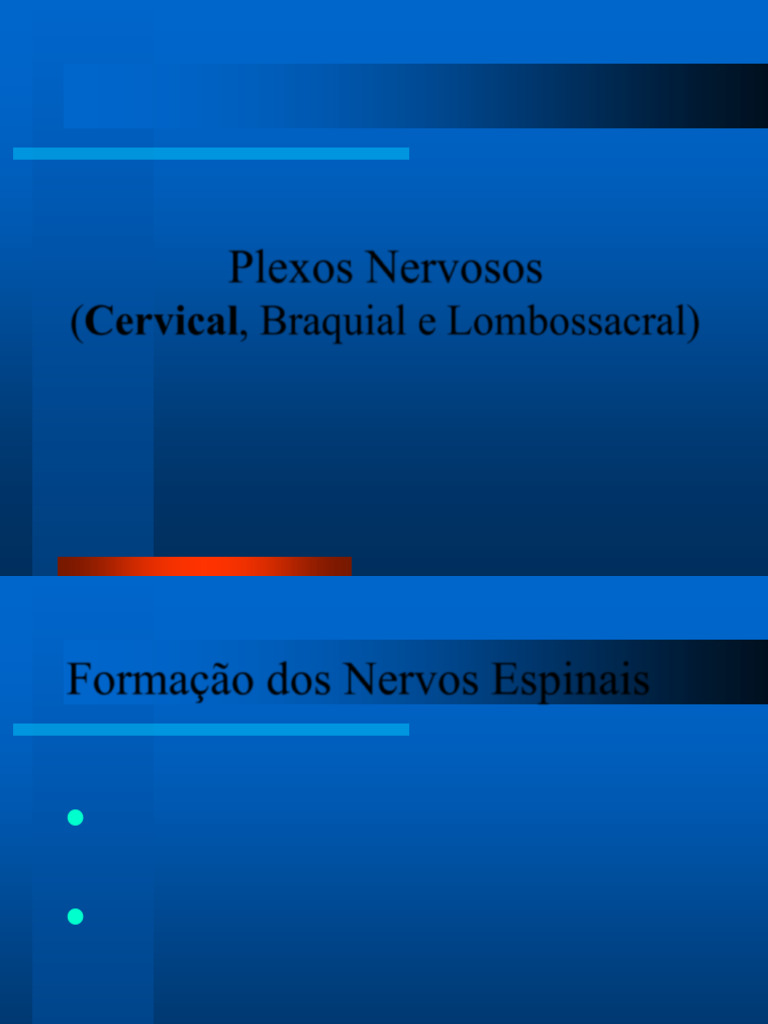 Estrutura do Plexo Cervical | PDF | Anatomia humana | Neuroanatomia