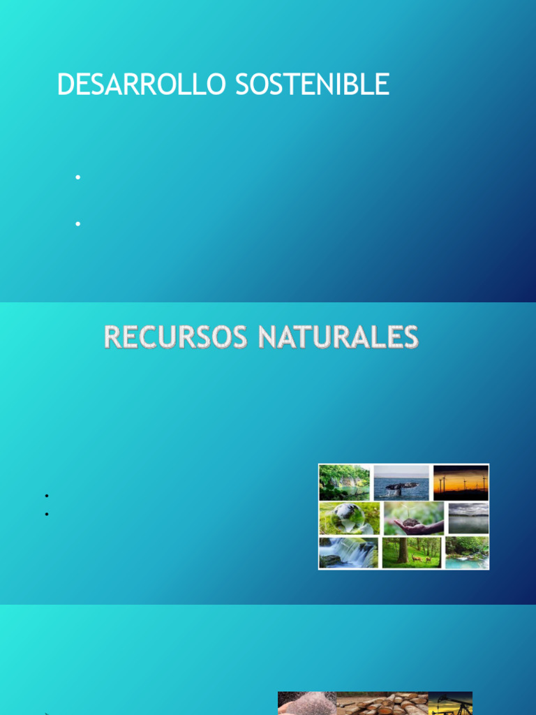 Rfa CCSS Semana 09 Durante | PDF | Sustentabilidad | Desarrollo sostenible