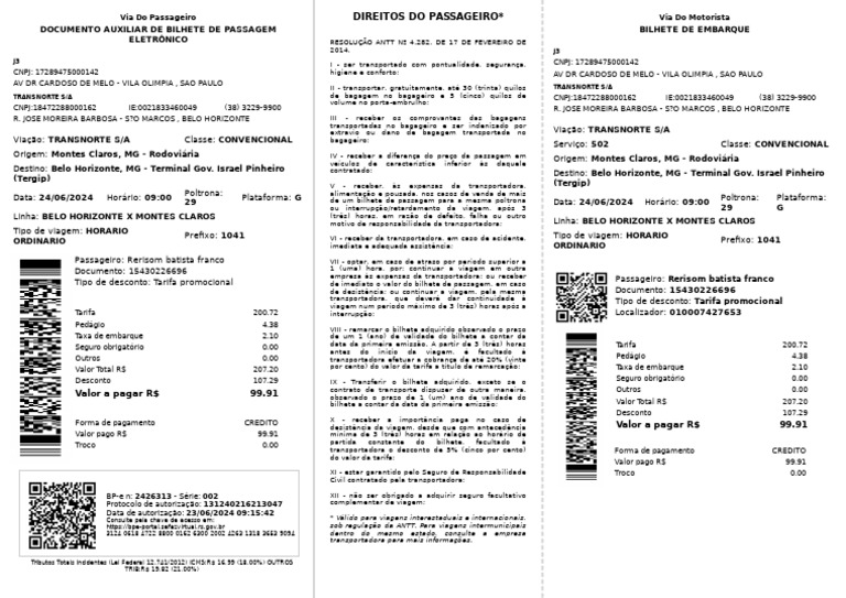 Documento Auxiliar de Bilhete de Passagem Eletrônico Bilhete de Embarque | PDF