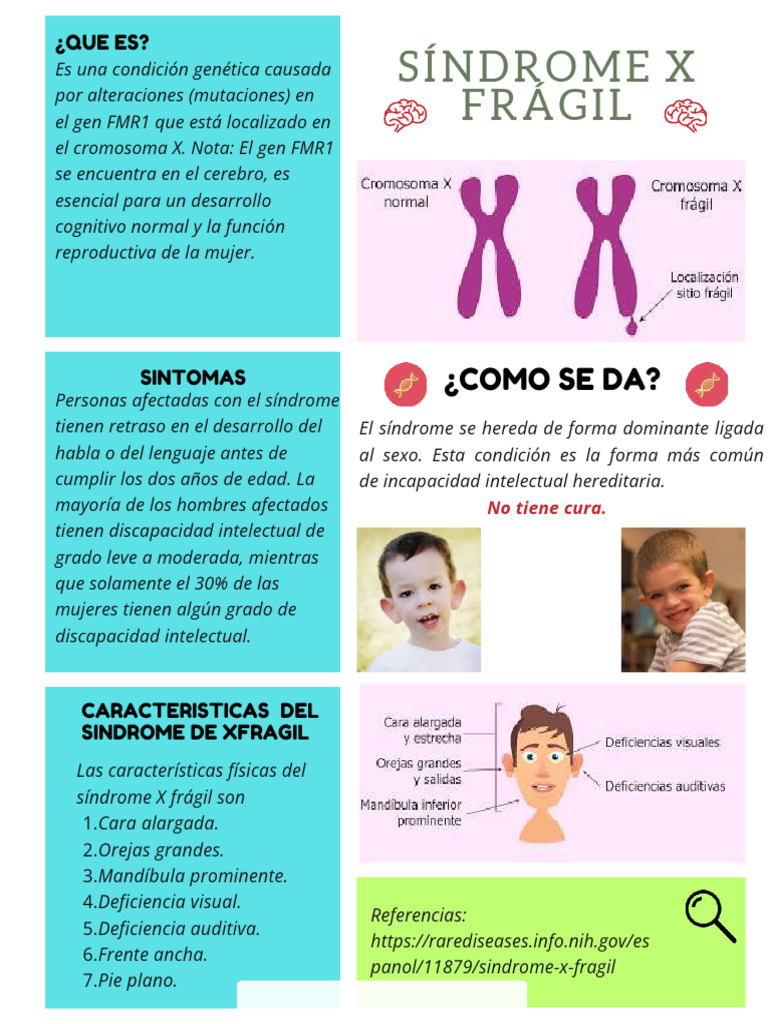 Sindrome X Fragil 42134 Downloadable 1614450.pdf - 20241128 - 190956 ...