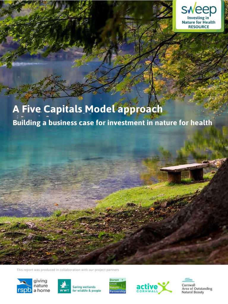 020 Five Capitals Model Approach | PDF | Sustainability | Capital (Economics)