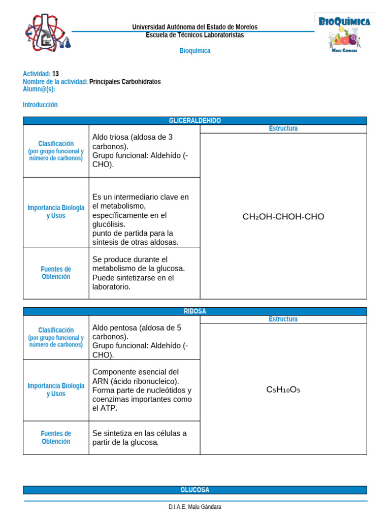 Act13 - Principales Carbohidratos (BQ 2025) | PDF | Carbohidratos | Metabolismo