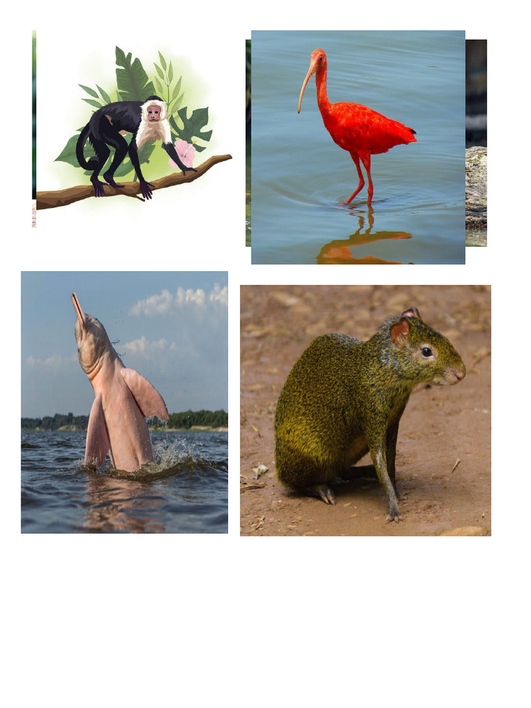 Impresiones Vicky | PDF