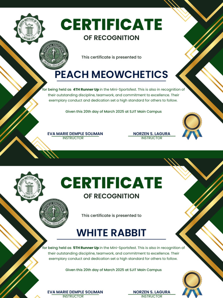 Mini-Sportsfest Recognition Certificates | PDF
