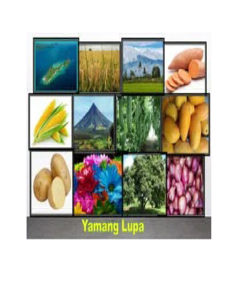 Yamang Lupa | PDF