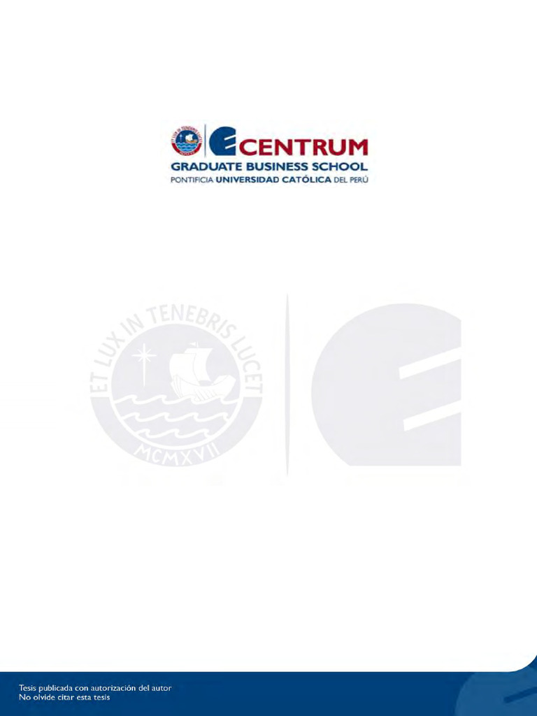 ALCAZAR_MARCHANI_PLANEAMIENTO_PURUS | PDF | Planificación estratégica ...