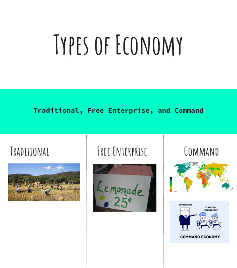 Types of Economy | PDF