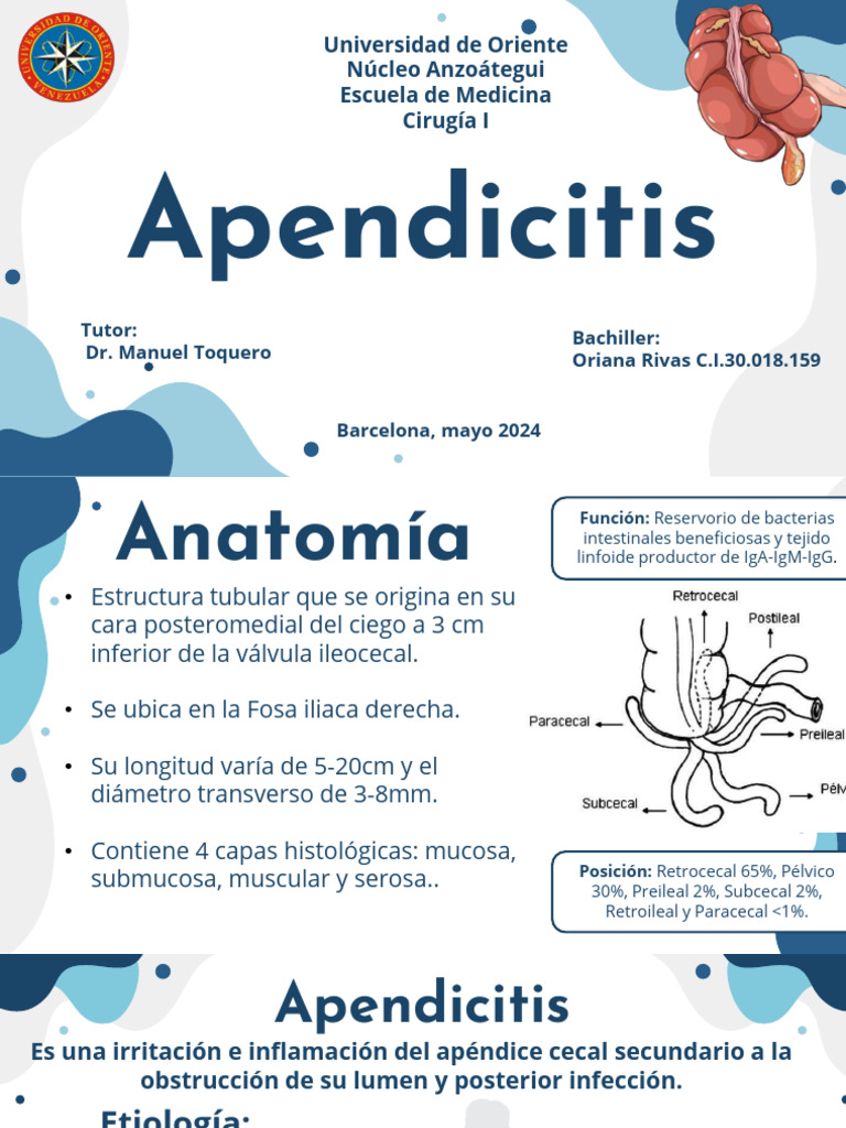 Apendicitis: Anatomía, Fisiopatología y Complicaciones | PDF | Medicina ...