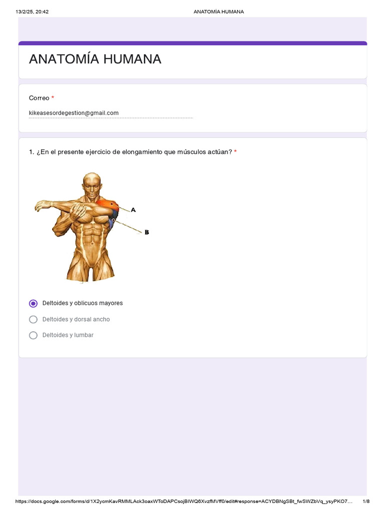 ANATOMÍA HUMANA - Formularios de Google | PDF | Articulación | Sistema ...