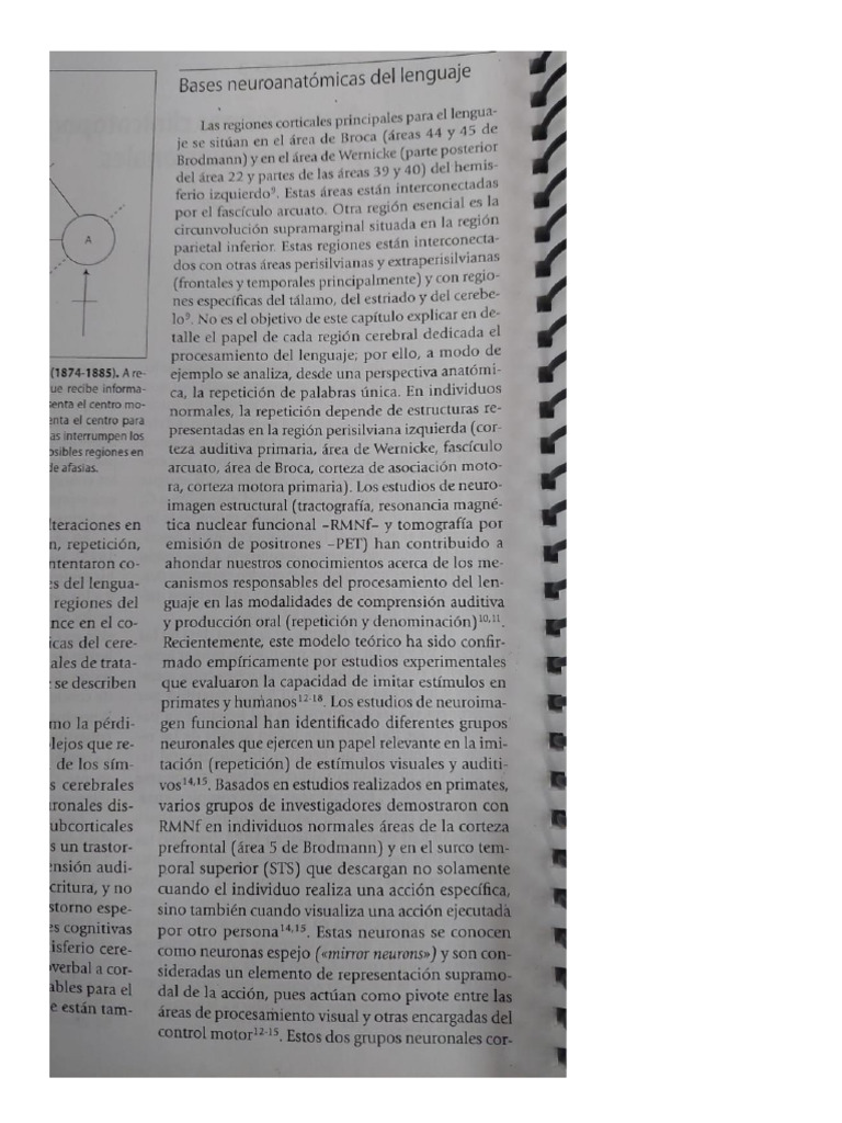Semana 12 - Lectura - Lenguaje | PDF