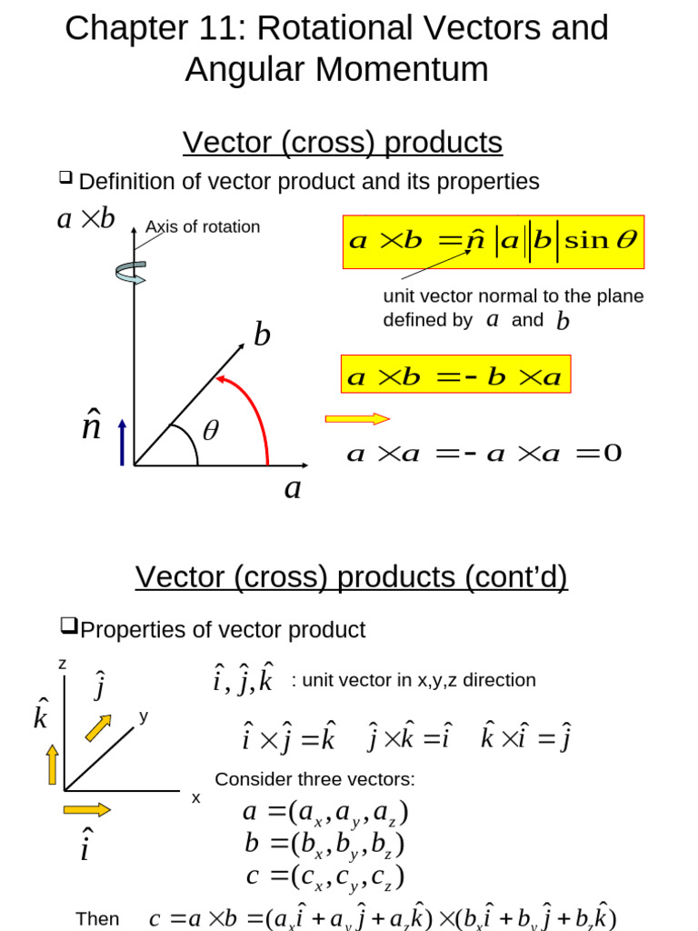 Rotational Vectors Ch11 | PDF | Rotation Around A Fixed Axis | Gyroscope
