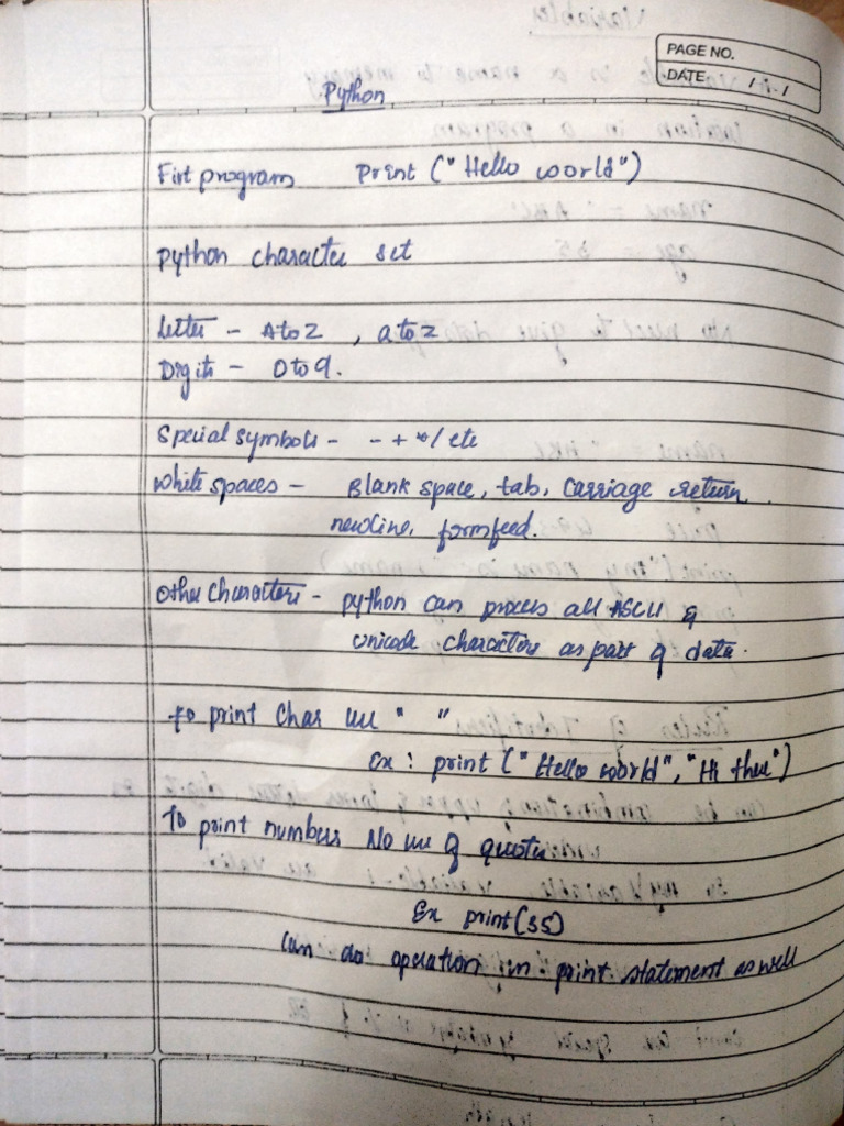 Python Basics Overview | PDF