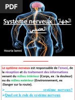 Comprendre le Système Nerveux Humain | PDF | Système nerveux | Nerf