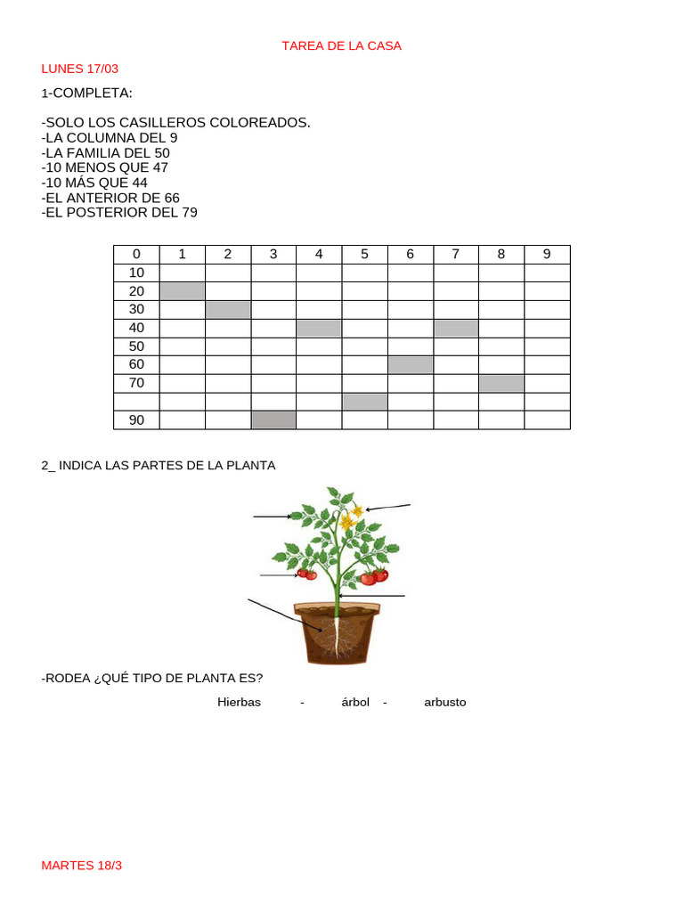 Tarea de La Casa | PDF