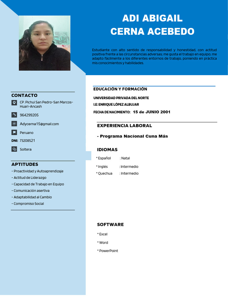 Ady Cerna Cv..... OF | PDF