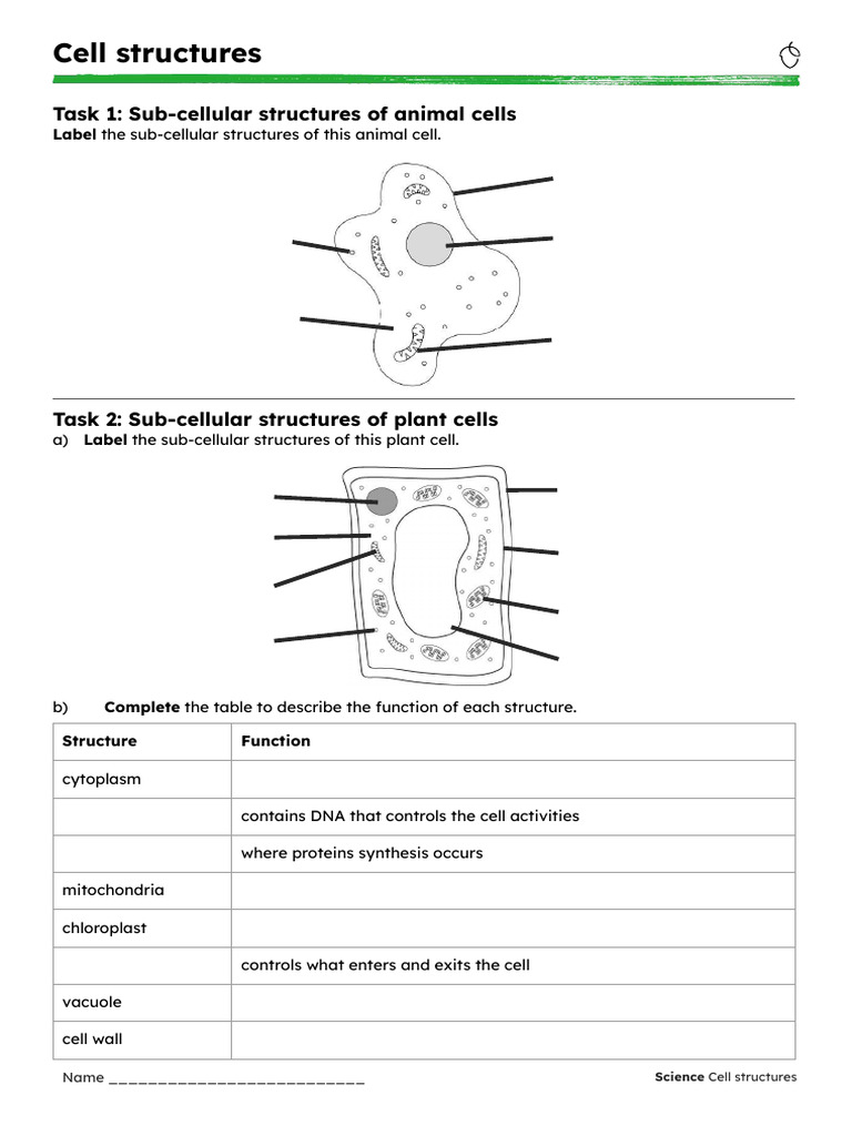 Worksheet-Questions - Cells | PDF