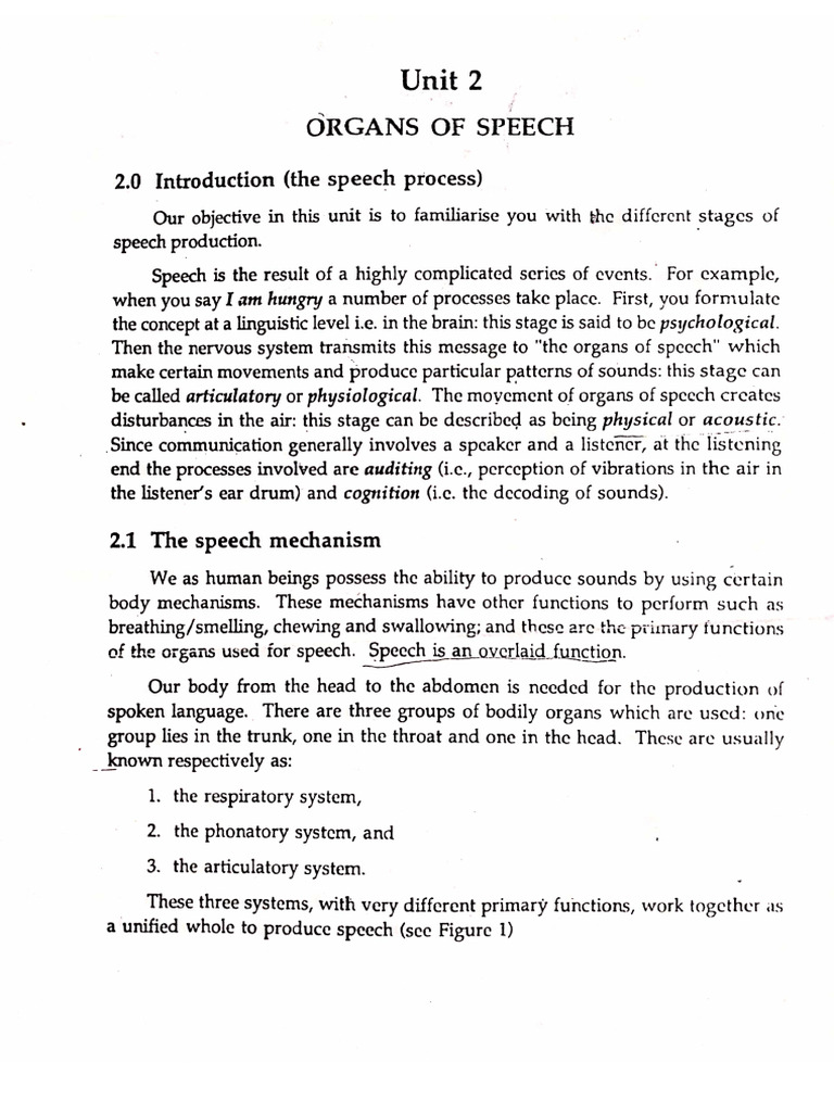 Phonology Notes | PDF
