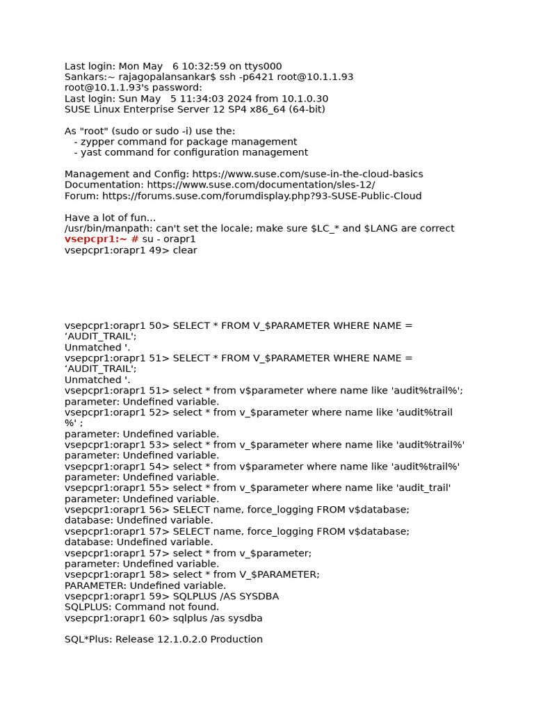 Oracle Audit Trail Pdf