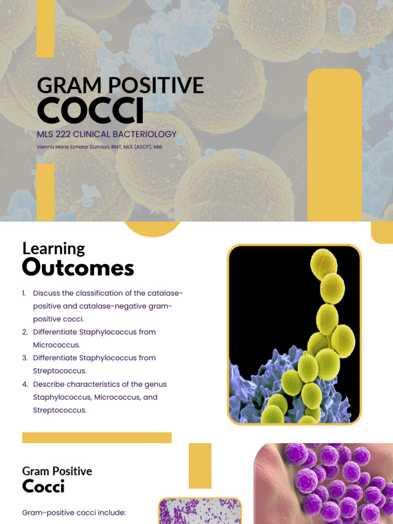 LEC 6 Gram Positve Cocci | PDF | Staphylococcus | Streptococcus