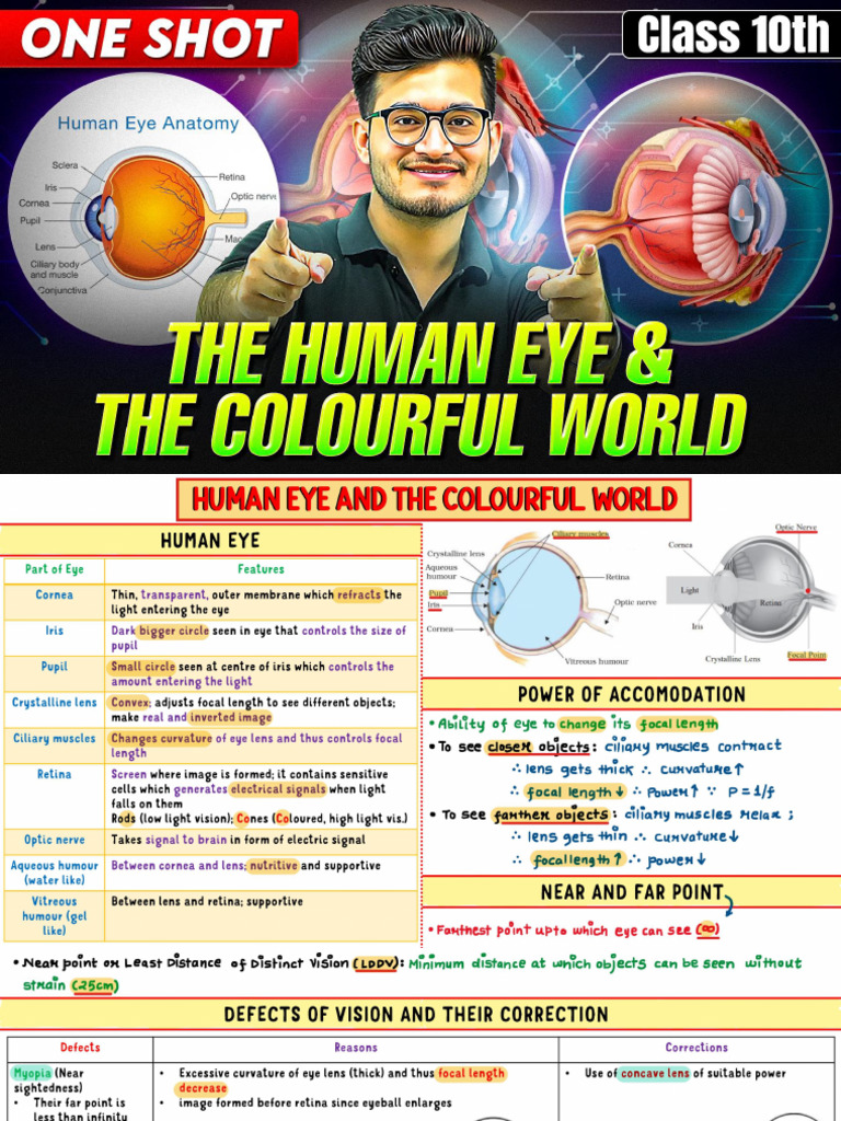 Human Eye and The Colourful World | PDF