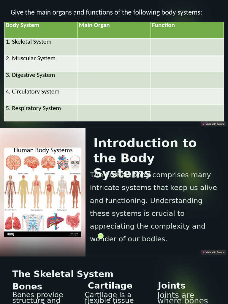 Introduction To The Body Systems | PDF | Human Body | Muscle