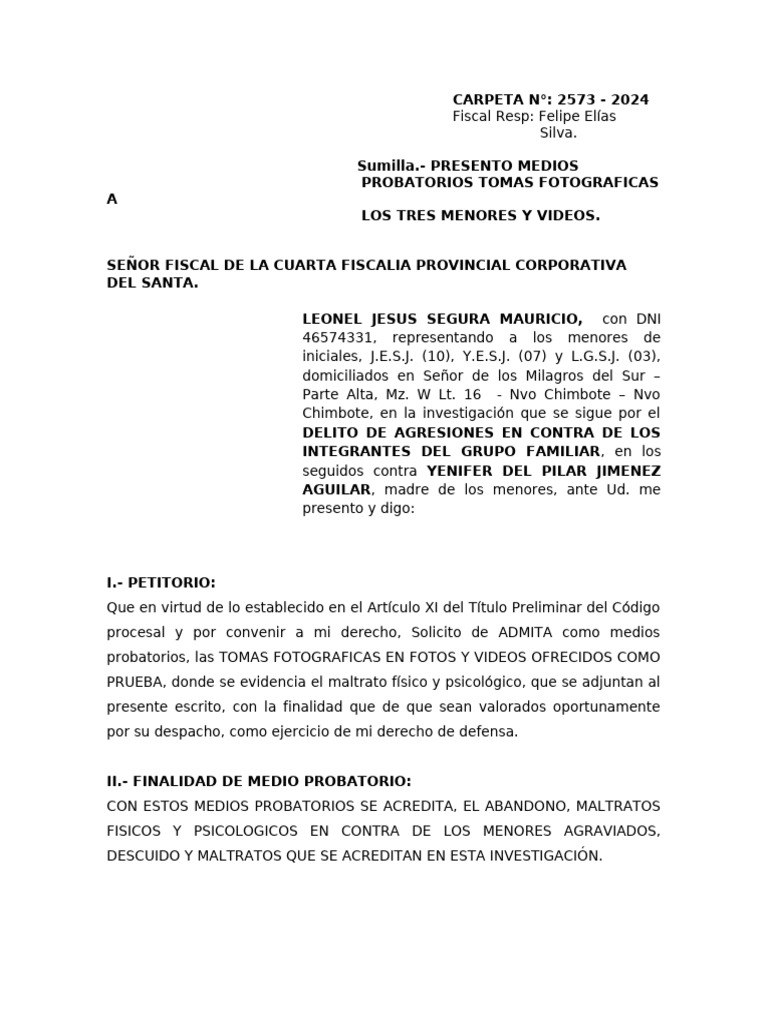 ESCRITO PRESENTO MEDIOS DE PRUEBA - LEONEL | PDF