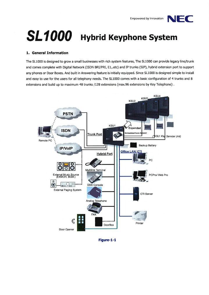NEC SL1000 Datasheet | PDF
